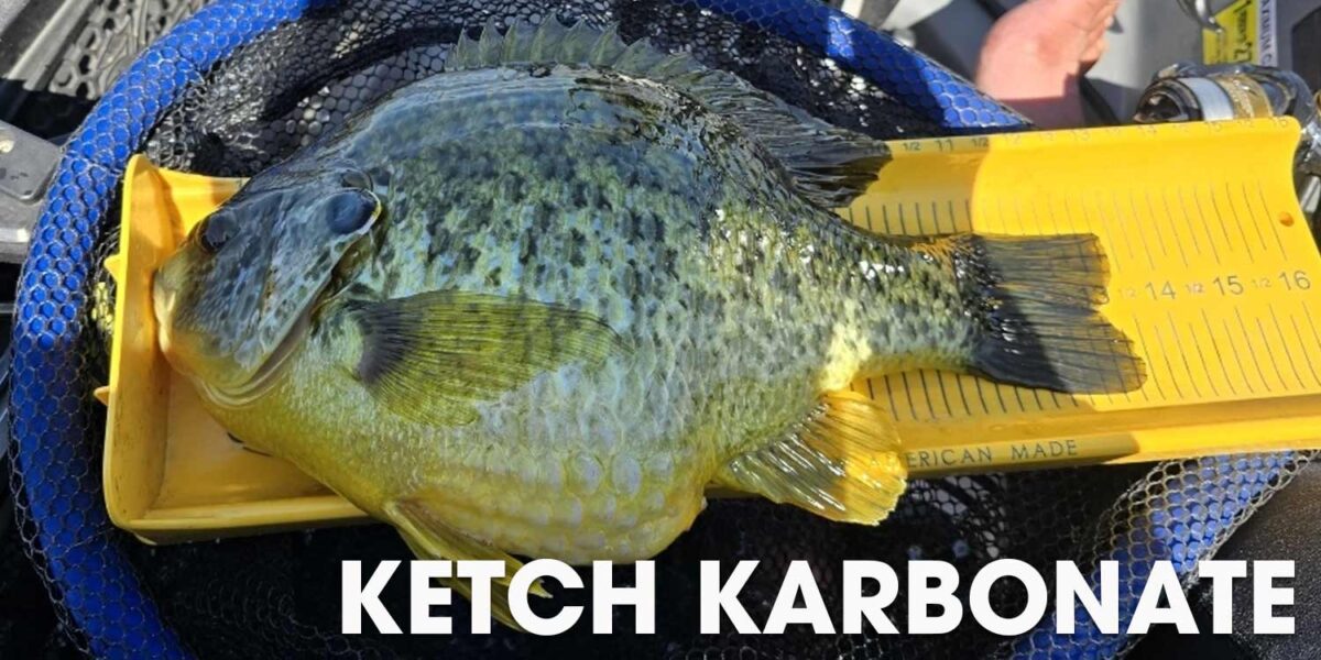 Home - Ketch Products